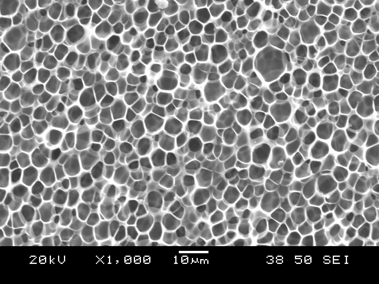 Microcellular Foaming - SIRADE